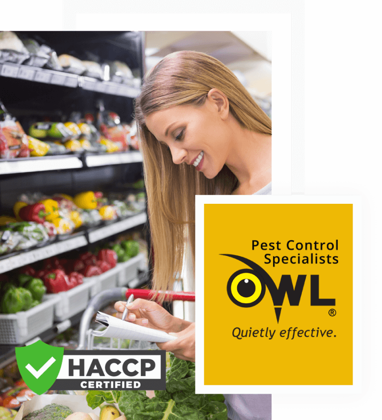 Pest Control In Grocery Stores - #1 Owl Pest Control Dublin
