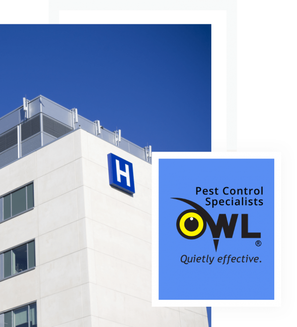 #1 Pest Control In Hospitals - Owl Pest Control Dublin