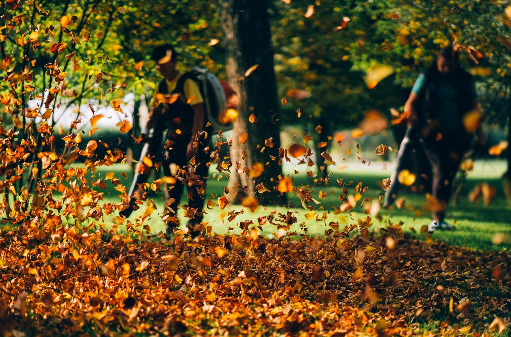 5 Important Autumn Home Tips For Pest-Free Living