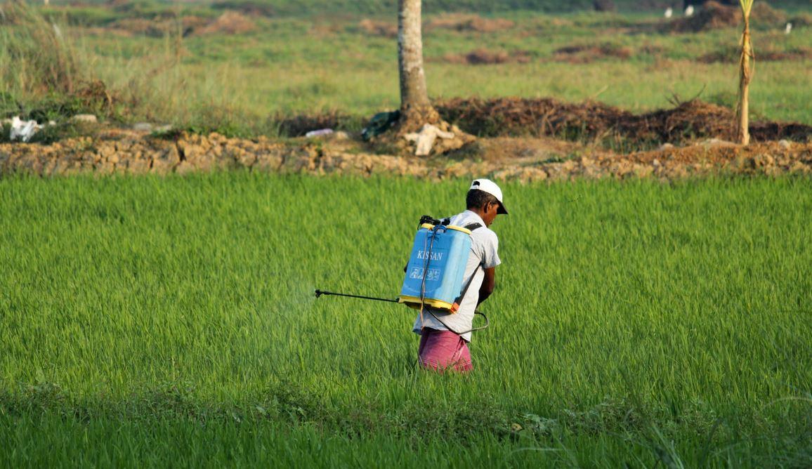 The Future Of Pest Control: 4 Innovations For A Safer World