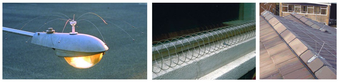 Buying #1 Effective Bird Deterrent Products. Which Is Best?