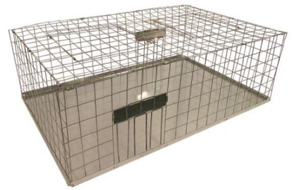#1 Best Live Bird Traps. Buy Pest Control Supplies