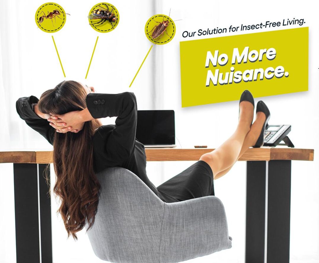 Crawling Insects Pest Guide In Ireland