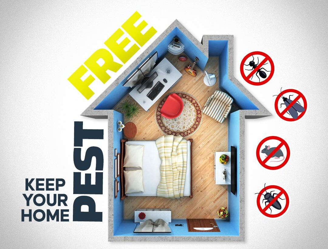 #1 Professional Residential Pest Control Services In Dublin