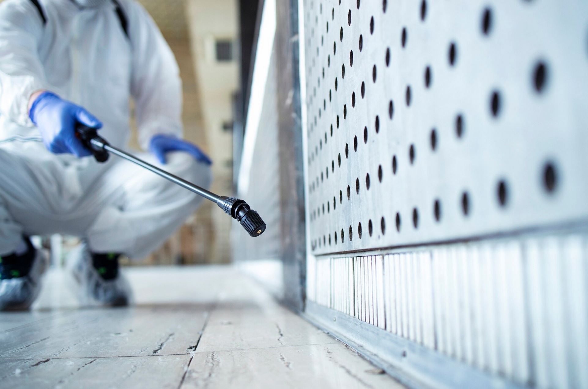 #1 Ultimate Guide To Pest Control For Dublin Apartments
