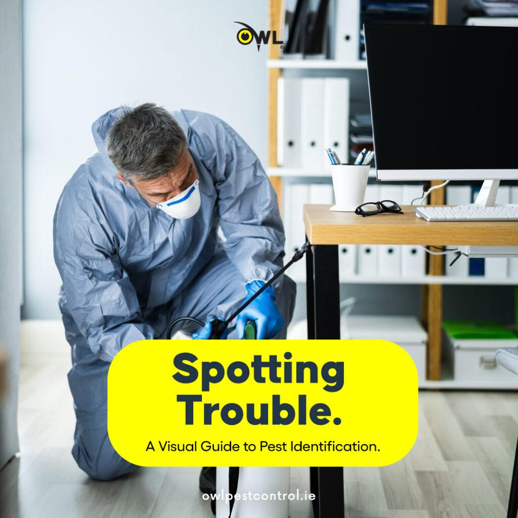 Research your Pest using our informative Pest Control Guide!